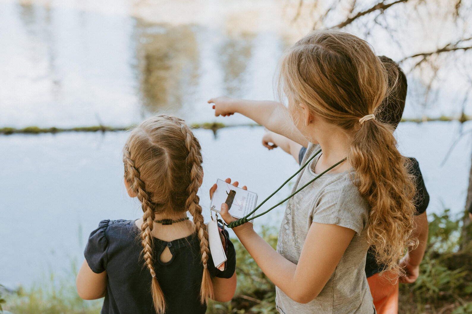 The Mountains- Discovery Cards/ A Scavenger Hunt Challenge for Kids to ...