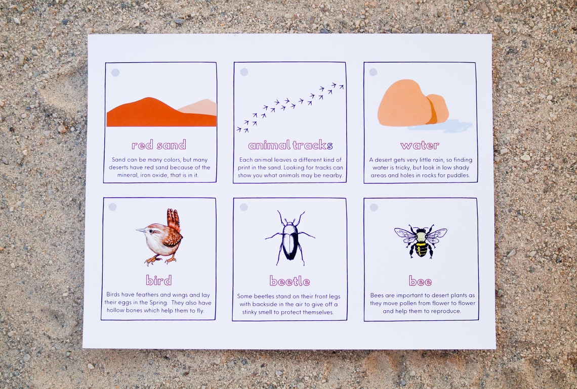 The Desert Discovery Cards/ A Scavenger Hunt Activity for - Etsy