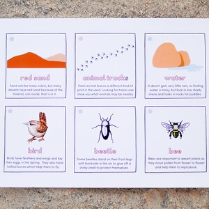 The Desert - Discovery Cards/ A Scavenger Hunt Activity for Kids to Use ...