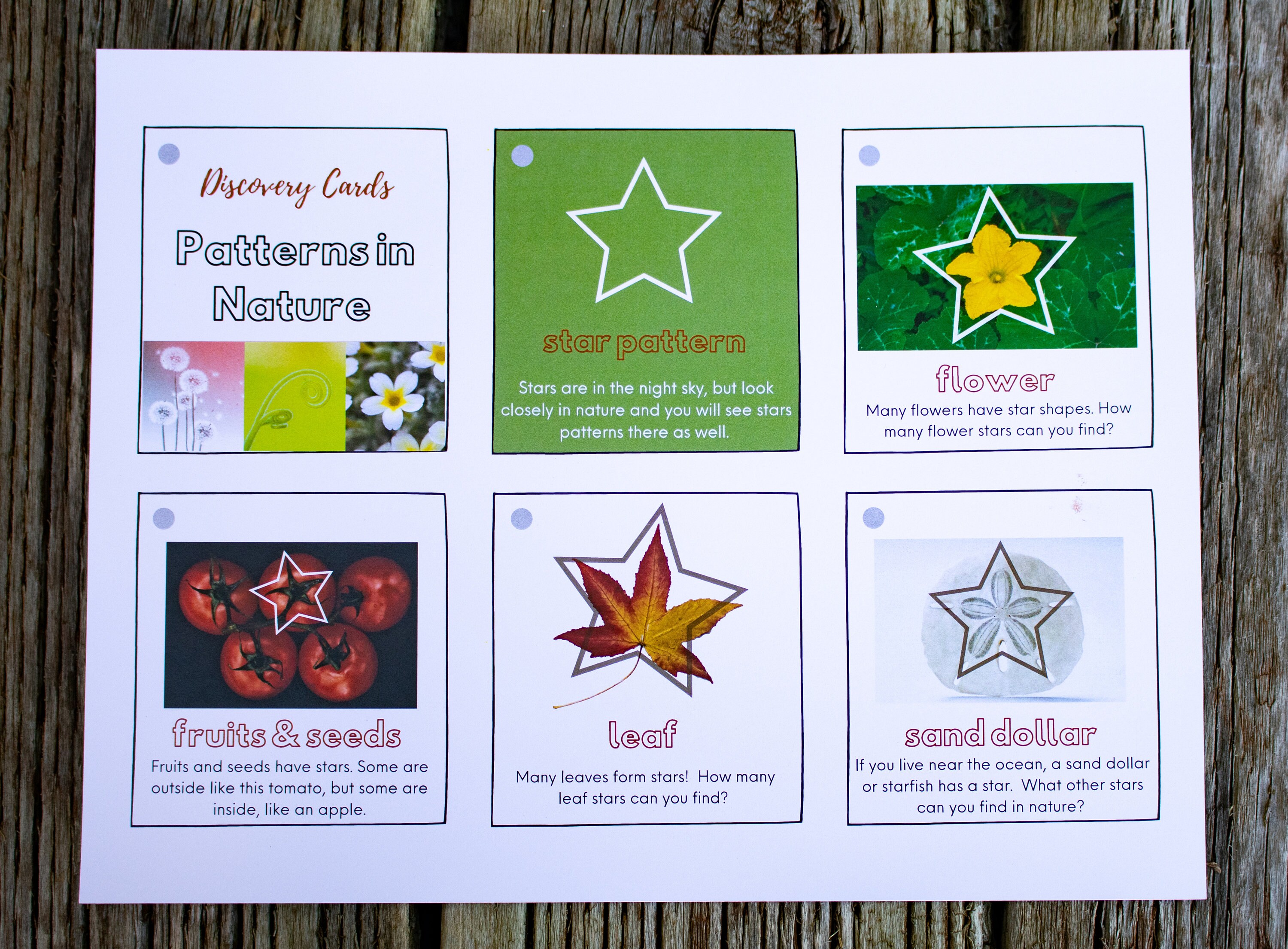 Patterns in Nature- Discovery Cards/ Scavenger Hunt Outside Search and ...