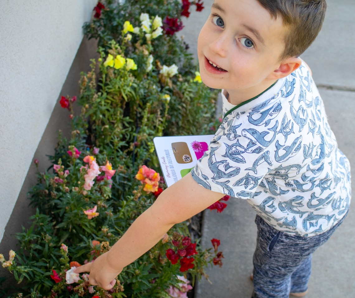 Colors in Nature- Discovery Cards/ Scavenger Hunt, Nature Walk, Kids ...