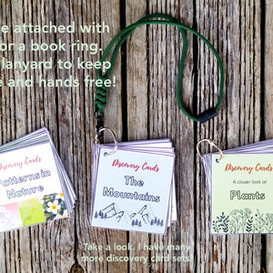 Plants- Discovery Cards/ A Scavenger Hunt Activity for Kids to ...