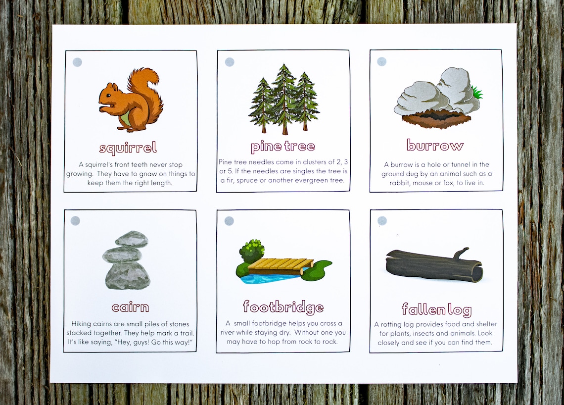 The Mountains- Discovery Cards/ A Scavenger Hunt Challenge for Kids to ...