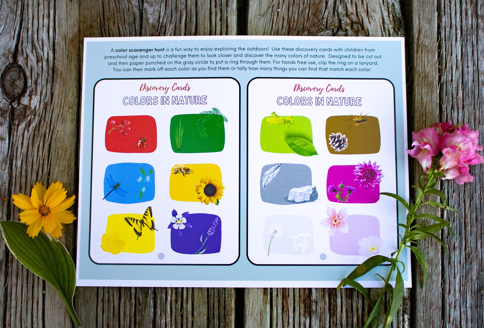 Colors in Nature- Discovery Cards/ Scavenger Hunt, Nature Walk, Kids ...