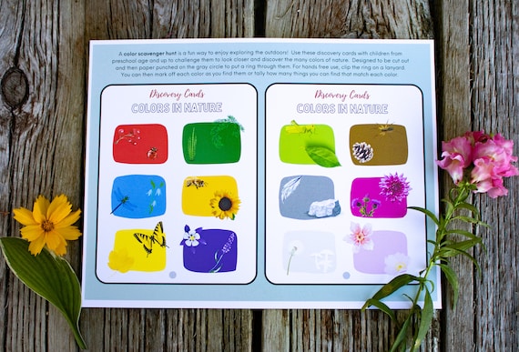 Colors in Nature Discovery Cards/ Scavenger Hunt Nature Walk - Etsy