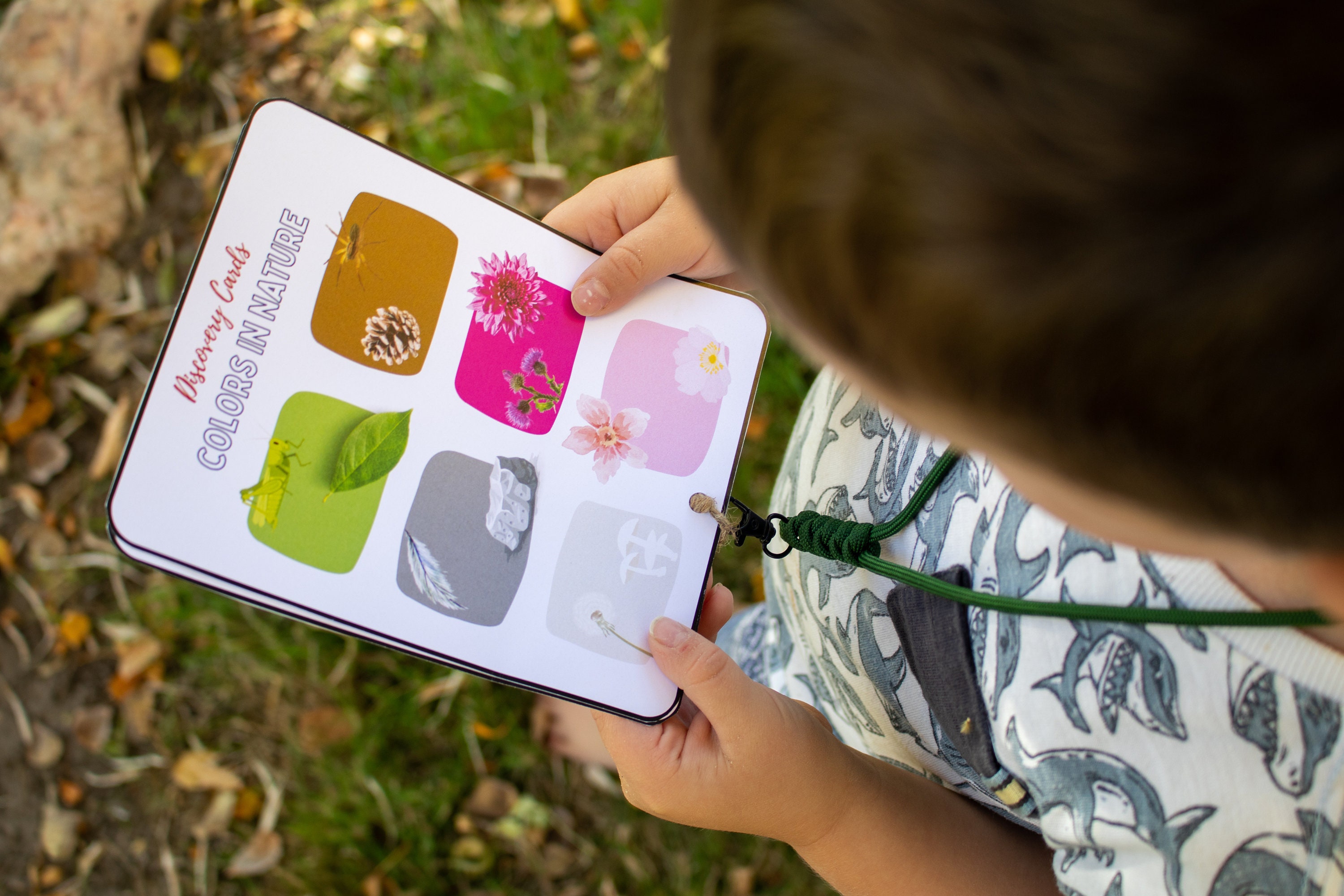 Colors in Nature- Discovery Cards/ Scavenger Hunt, Nature Walk, Kids ...