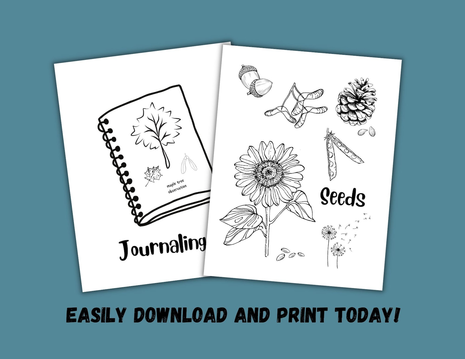 20 Nature Coloring Pages for Kids, Nature Art, Science Education, Earth ...