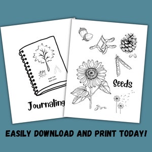 20 Nature Coloring Pages for Kids, Nature Art, Science Education, Earth ...