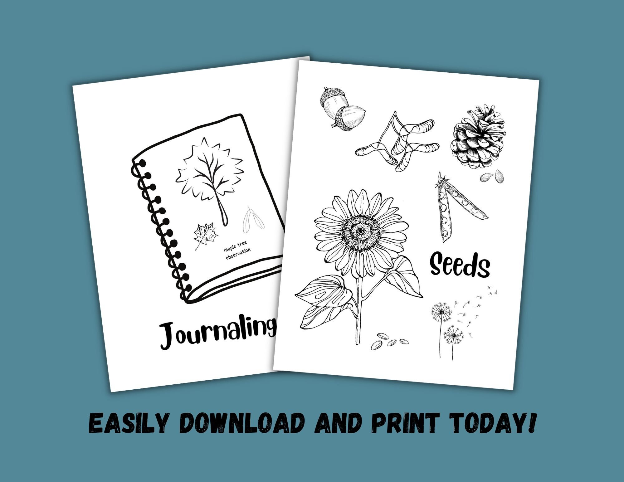 20 Nature Coloring Pages for Kids, Nature Art, Science Education, Earth ...