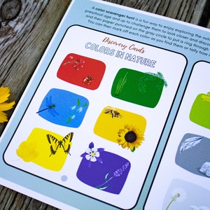 Colors in Nature- Discovery Cards/ Scavenger Hunt, Nature Walk, Kids ...