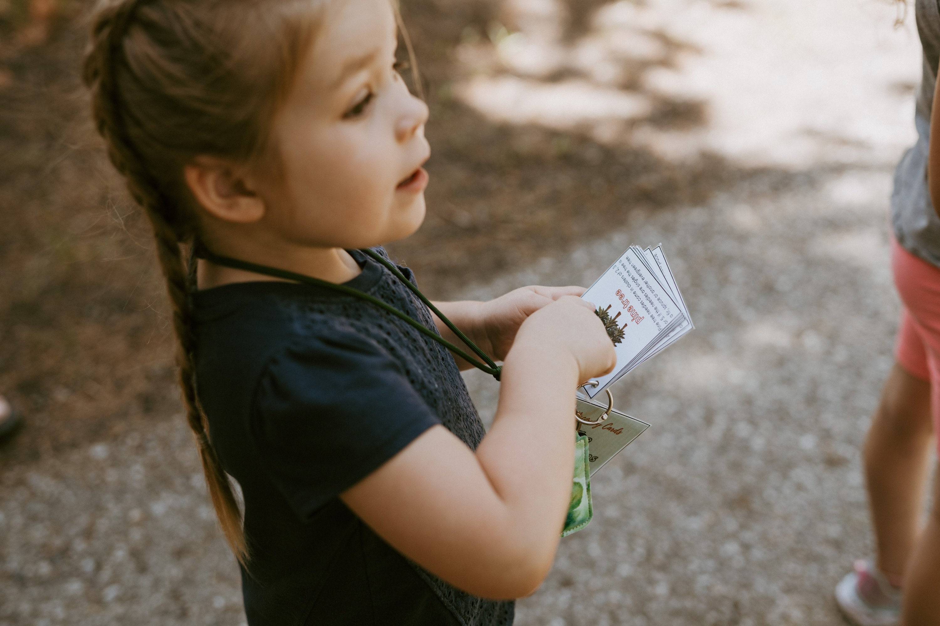 My Backyard- Discovery Cards/ Scavenger Hunt Outside Activity for Kids ...