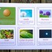 Patterns in Nature- Discovery Cards/ Scavenger Hunt Outside Search and ...