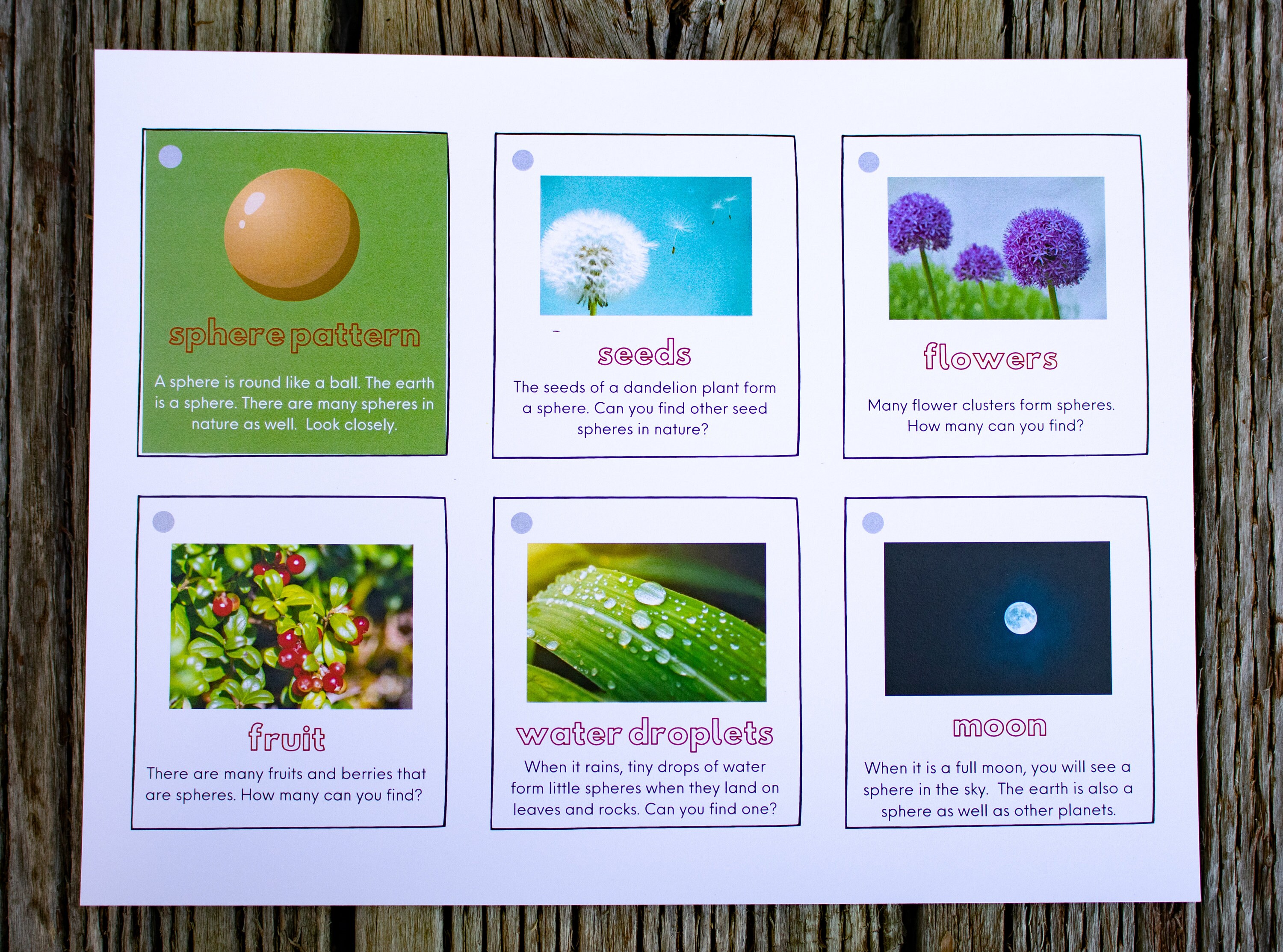 Patterns in Nature- Discovery Cards/ Scavenger Hunt Outside Search and ...