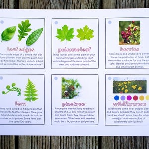 Plants- Discovery Cards/ A Scavenger Hunt Activity for Kids to ...