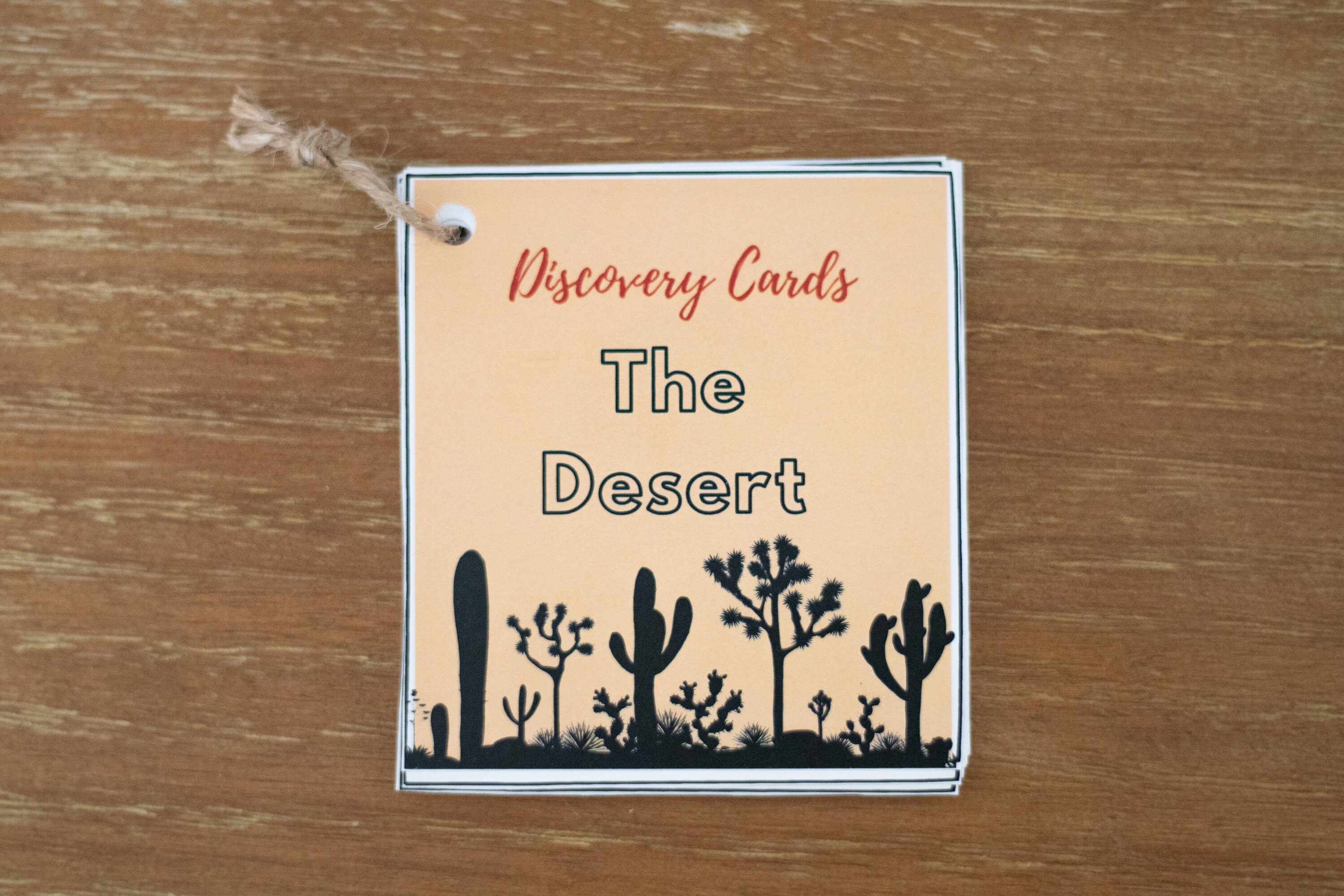 The Desert - Discovery Cards/ A Scavenger Hunt Activity for Kids to Use ...