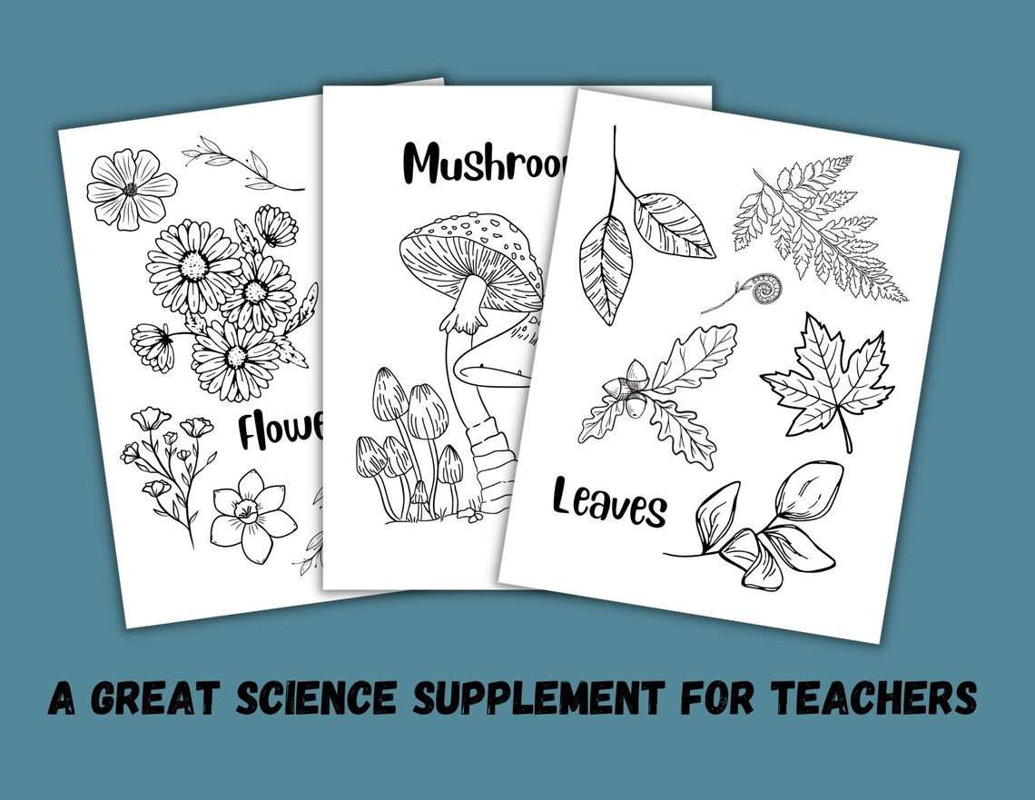 20 Nature Coloring Pages for Kids, Nature Art, Science Education, Earth ...