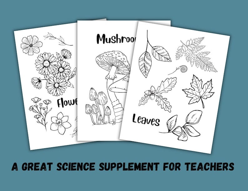20 Nature Coloring Pages for Kids, Nature Art, Science Education, Earth ...