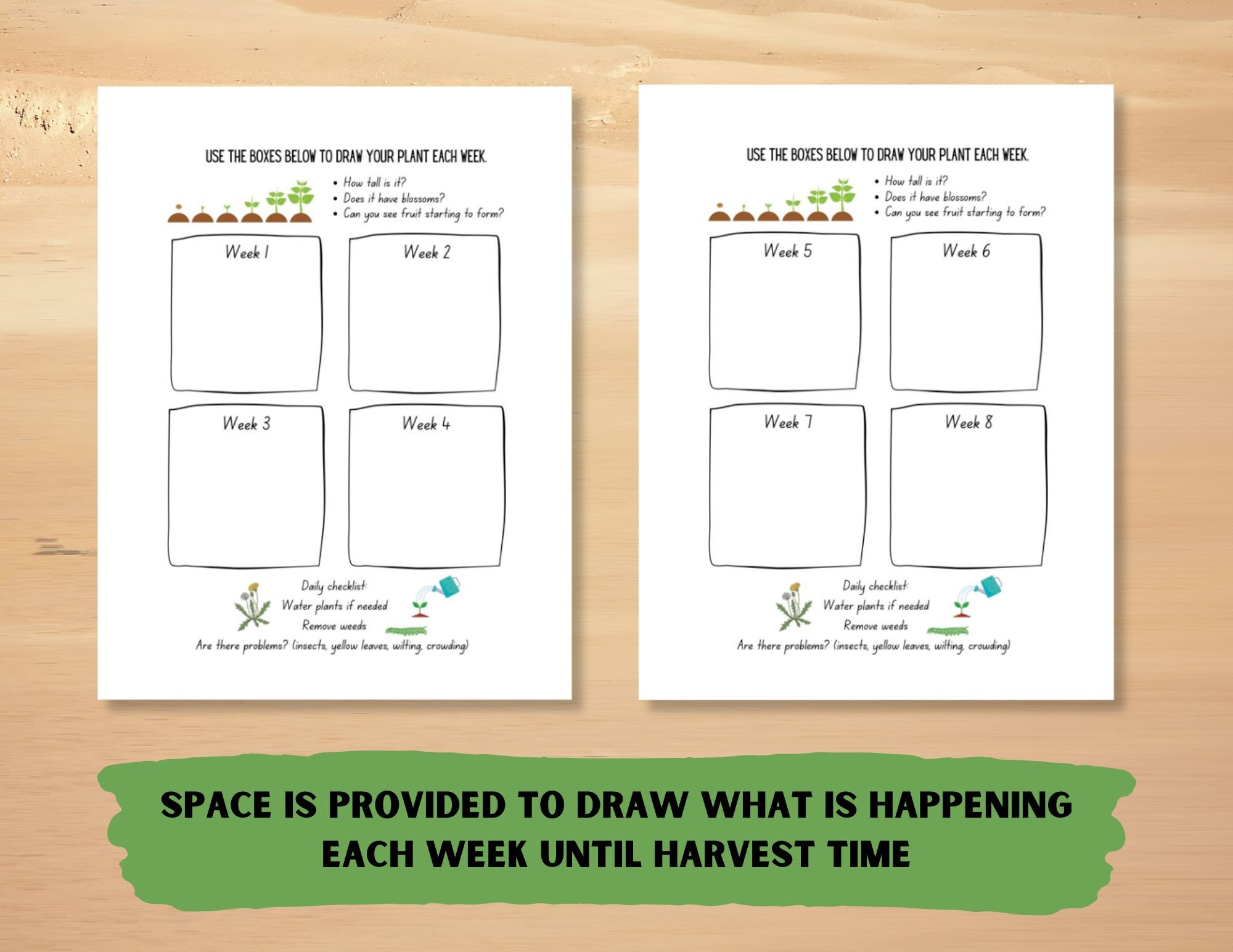 Kids Gardening Journal; an Outdoor Summer PRINTABLE Activity That is ...