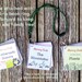 Patterns in Nature- Discovery Cards/ Scavenger Hunt Outside Search and ...