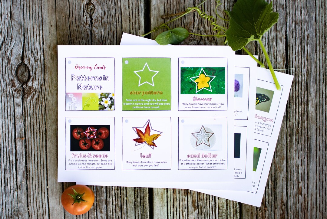 Patterns in Nature- Discovery Cards/ Scavenger Hunt Outside Search and ...