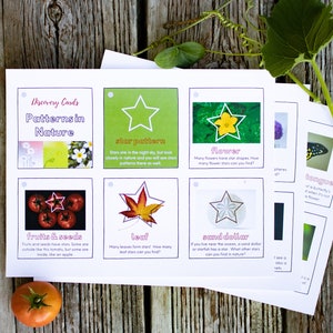 Patterns in Nature Discovery Cards/ Scavenger Hunt Outside - Etsy