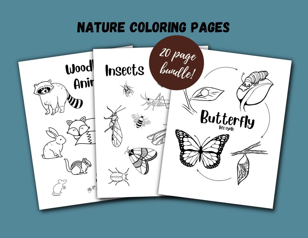 20 Nature Coloring Pages for Kids, Nature Art, Science Education, Earth ...