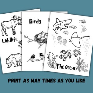 20 Nature Coloring Pages for Kids, Nature Art, Science Education, Earth ...