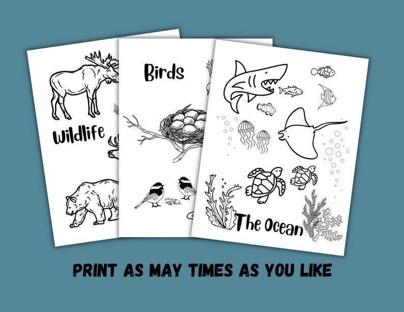 20 Nature Coloring Pages for Kids, Nature Art, Science Education, Earth ...