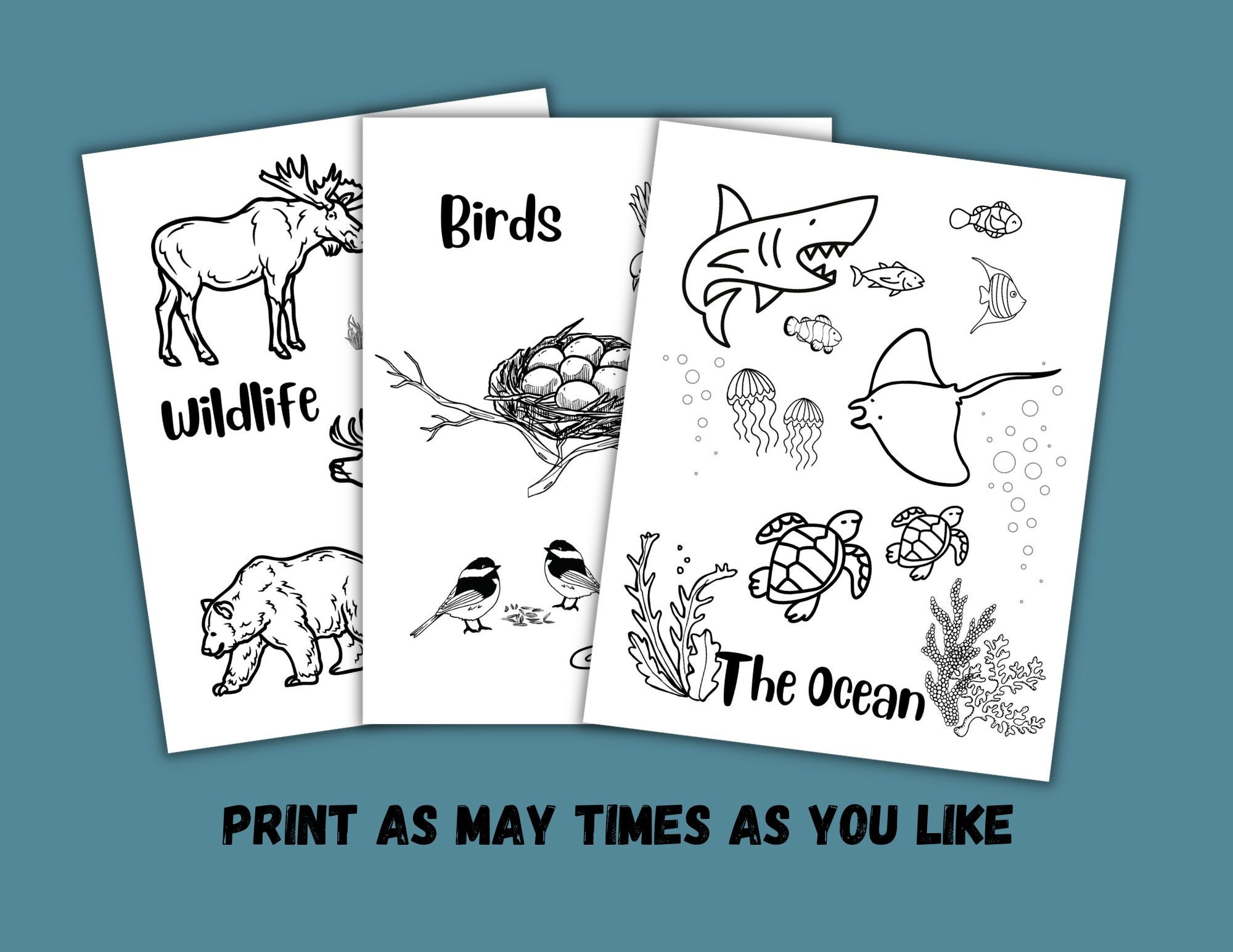 20 Nature Coloring Pages for Kids, Nature Art, Science Education, Earth ...