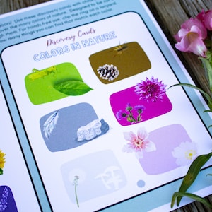 Colors in Nature- Discovery Cards/ Scavenger Hunt, Nature Walk, Kids ...