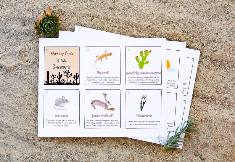 The Desert - Discovery Cards/ A Scavenger Hunt Activity for Kids to Use ...