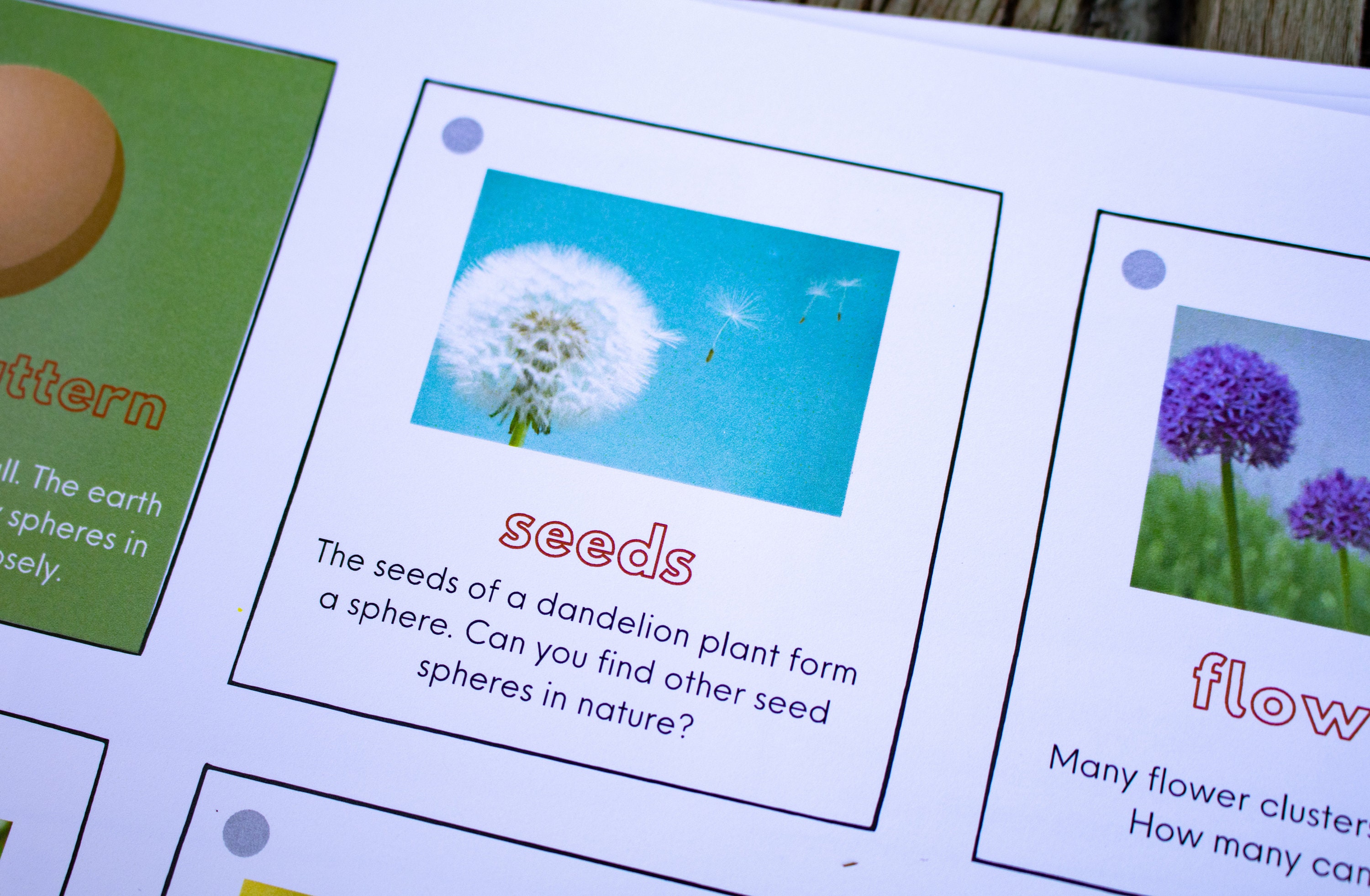 Patterns in Nature- Discovery Cards/ Scavenger Hunt Outside Search and ...