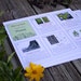 Plants Discovery Cards/ A Scavenger Hunt Activity for Kids to Encourage ...