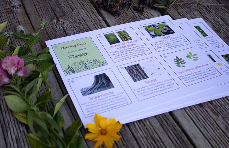Plants Discovery Cards/ A Scavenger Hunt Activity for Kids to Encourage ...