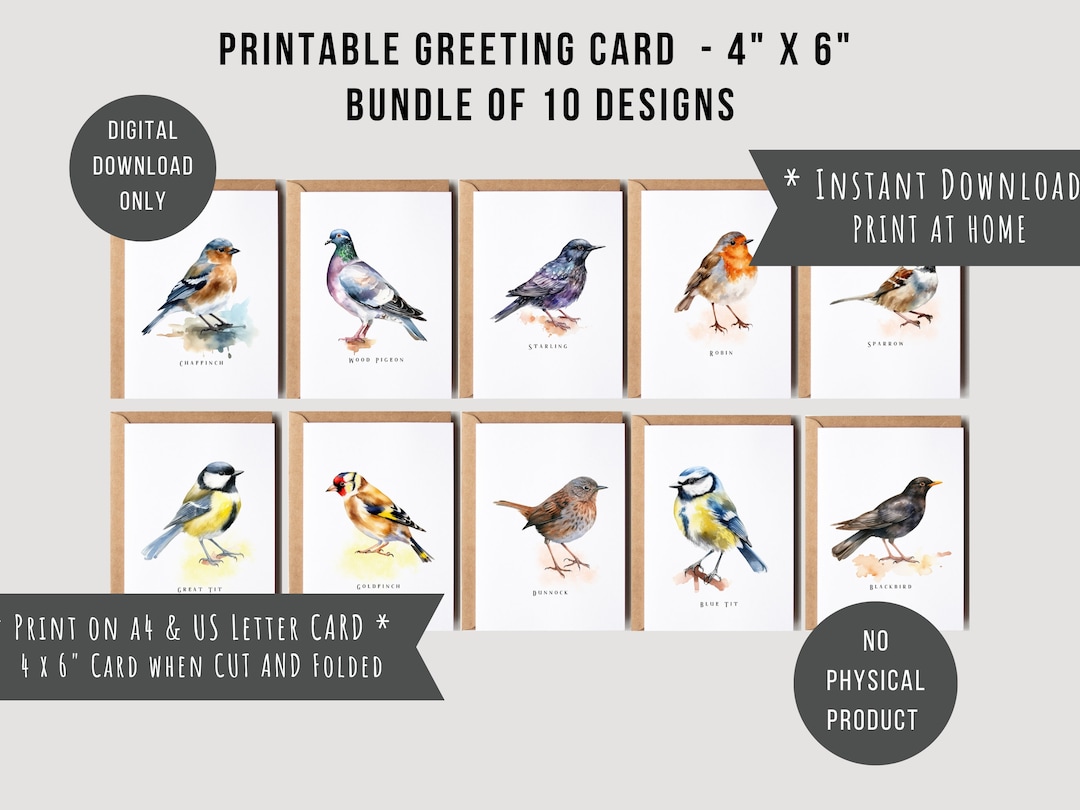 Bundle of 10 Printable Bird Cards, British Wildlife Blank Greeting ...
