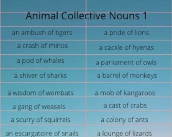 Collective Nouns Printable Poster for Kids - Etsy UK