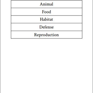 Montessori Animal Stories Cards - Etsy