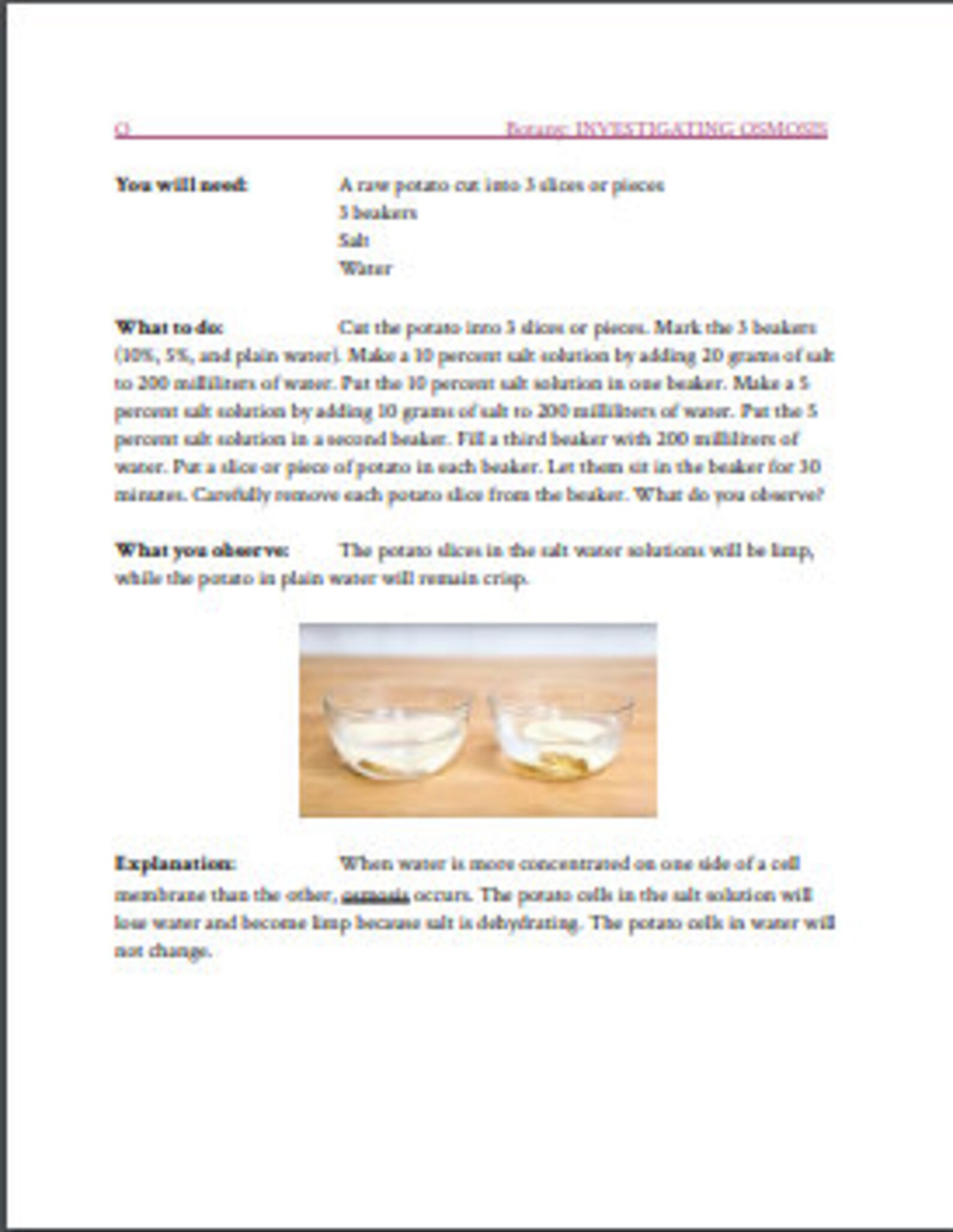 Montessori Botany Experiment Cards - Etsy