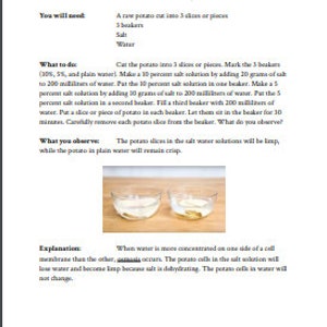 Montessori Botany Experiment Cards - Etsy