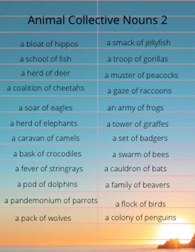 Montessori Animal Collective Nouns - Etsy