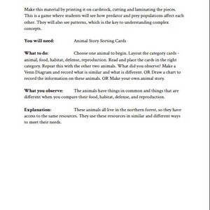 Montessori Animal Stories Cards - Etsy