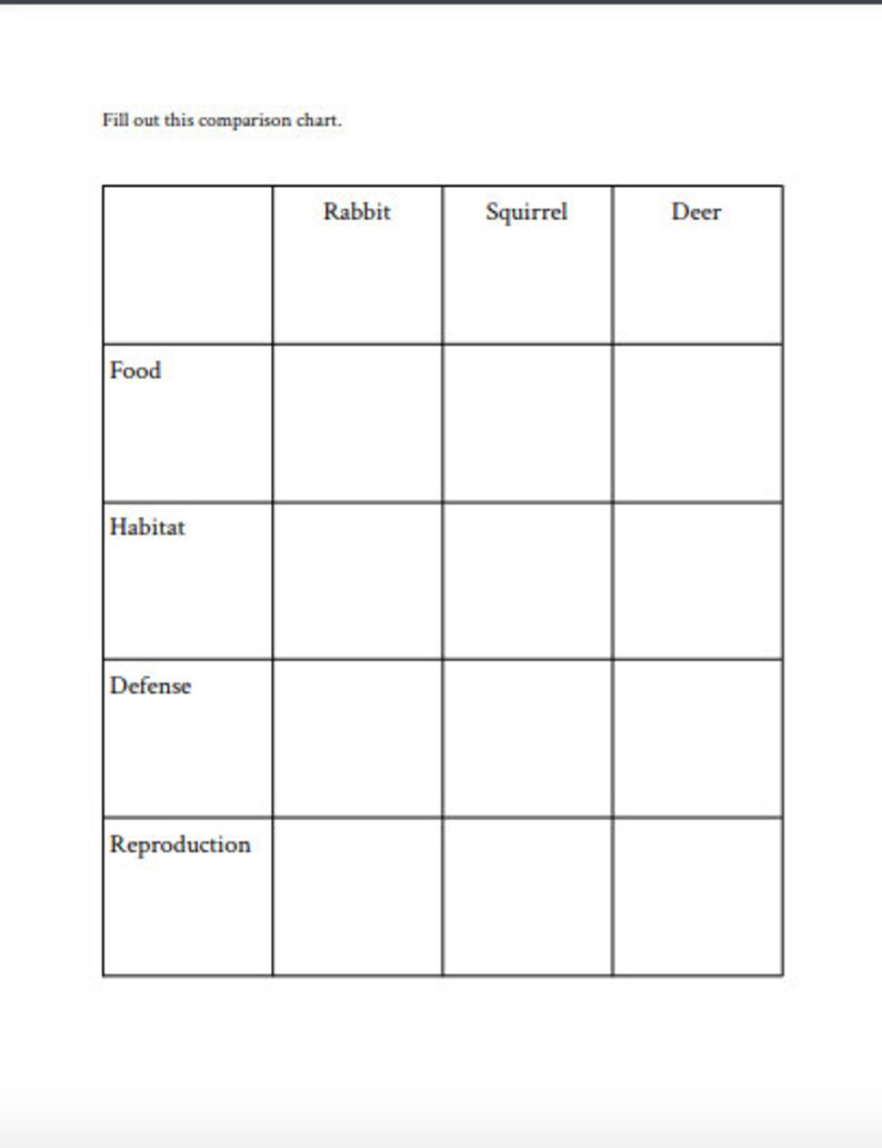 Montessori Animal Stories Cards - Etsy