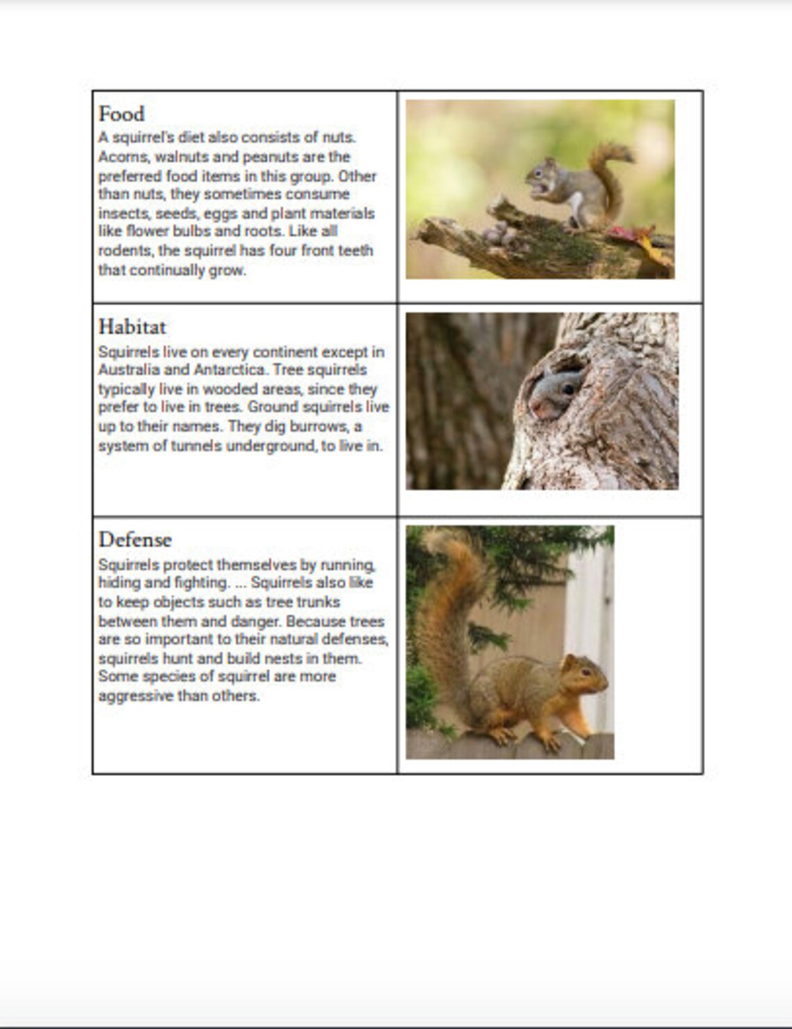 Montessori Animal Stories Cards - Etsy