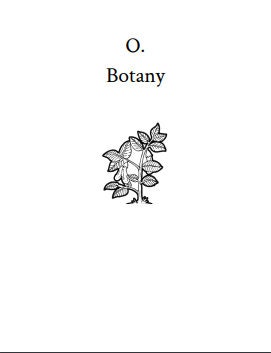 Montessori Botany Experiment Cards - Etsy