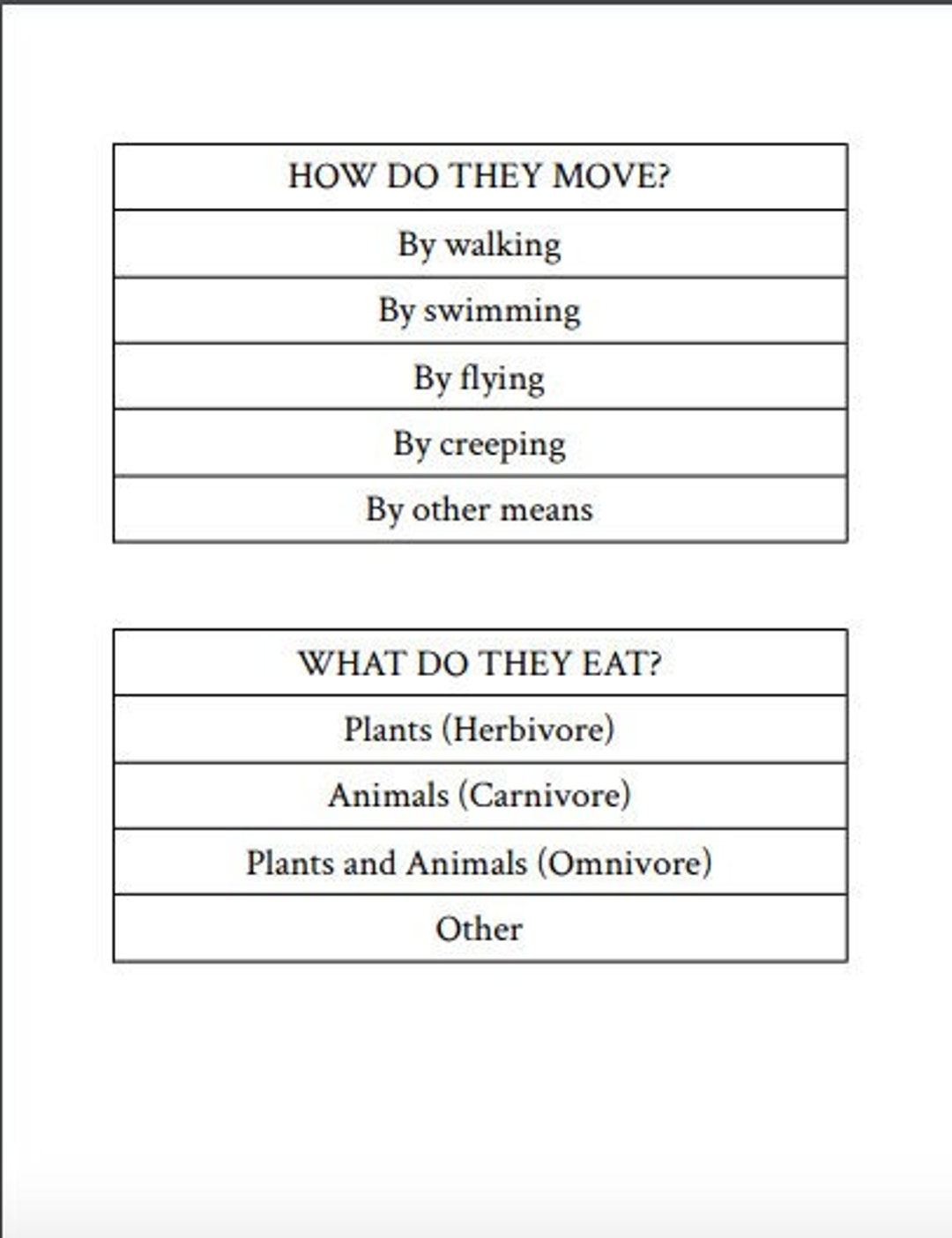 The Montessori Question Game - Etsy