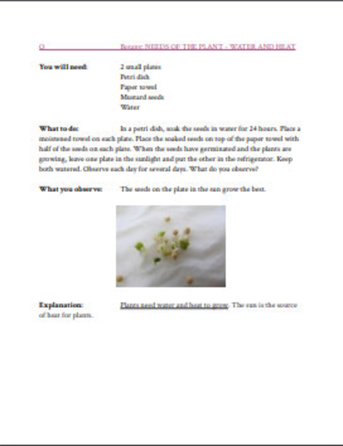 Montessori Botany Experiment Cards - Etsy