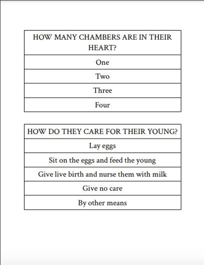 The Montessori Question Game - Etsy