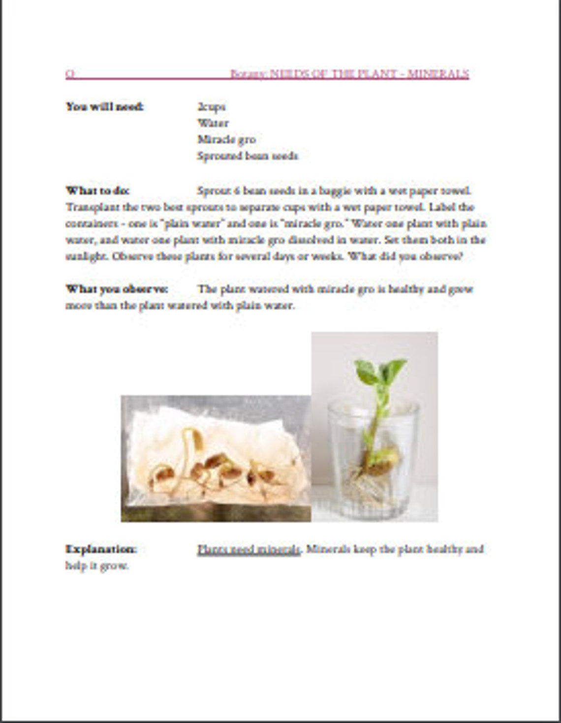 Montessori Botany Experiment Cards - Etsy