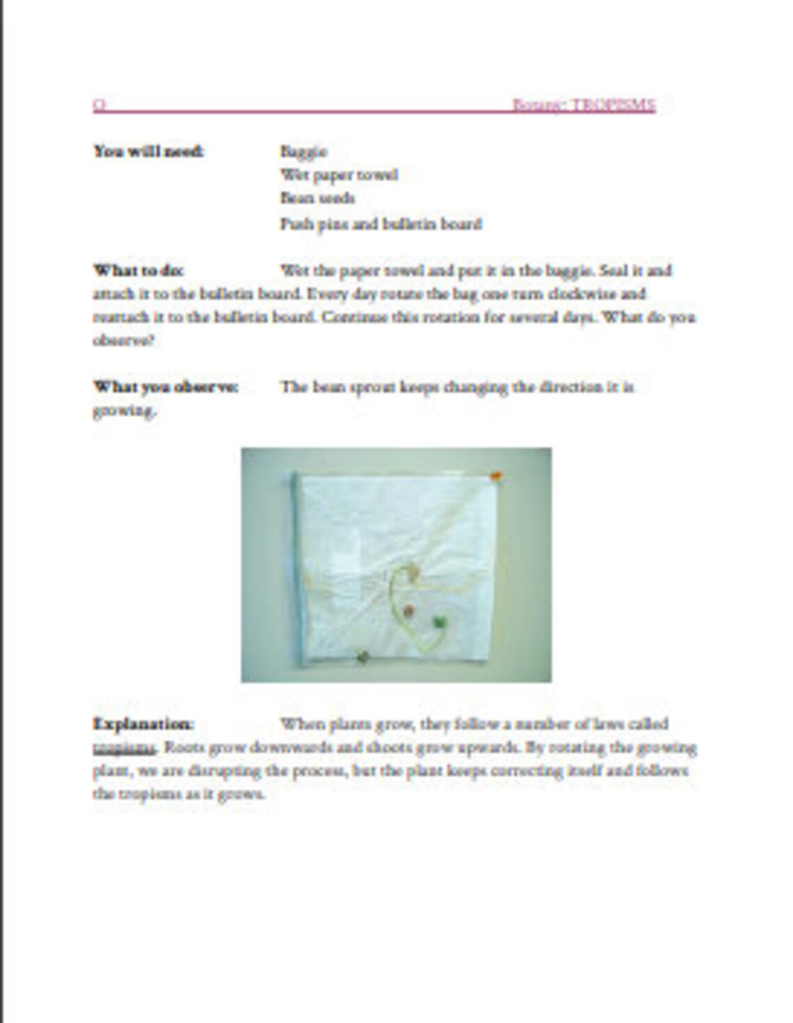 Montessori Botany Experiment Cards - Etsy