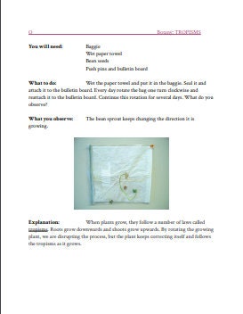 Montessori Botany Experiment Cards - Etsy